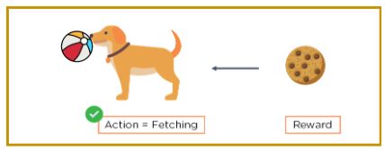 What is Q-Learning: Everything you Need to Know | Simplilearn