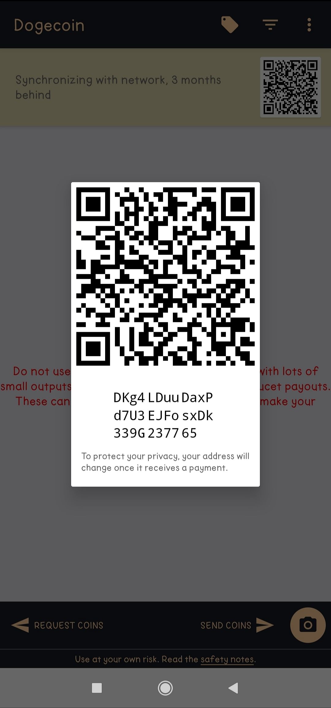 A Look into The Digital Dogecoin Wallet A Look into The Digital Dogecoin Wallet
