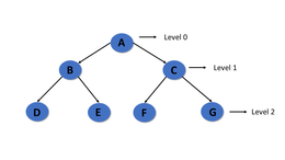 Data Structures Tree Terminologies 