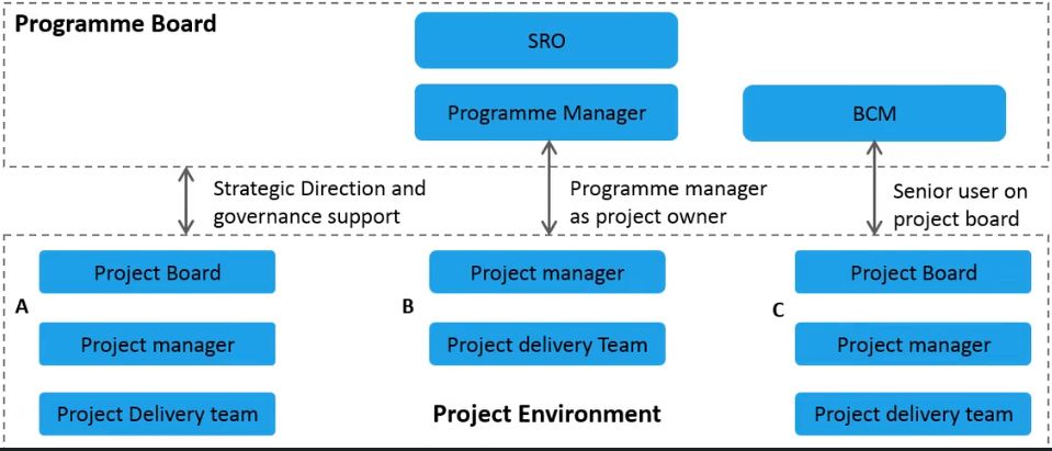 Program Organization Tutorial | Simplilearn