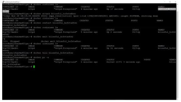 Top Docker Commands That You Need to Master Top Docker Commands That You Need to Master