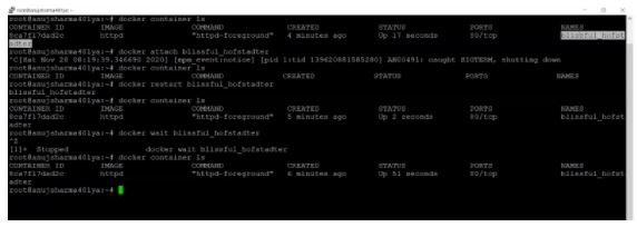 Top Docker Commands That You Need To Master 4820