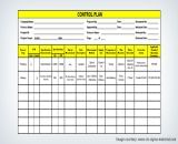 Six Sigma Control Plan - Needs & Strategie