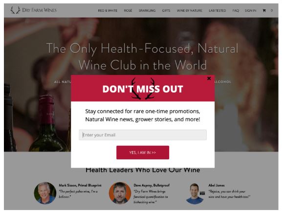 Creative Call to Action Examples