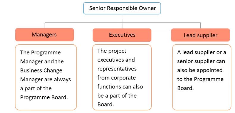 Program Organization Tutorial | Simplilearn